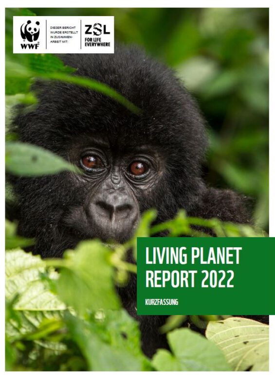 WWF: Klimakrise und Artensterben schaukeln einander hoch | SOLARIFY