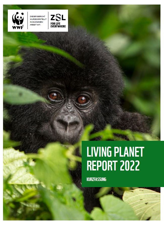 WWF: Klimakrise und Artensterben schaukeln einander hoch | SOLARIFY