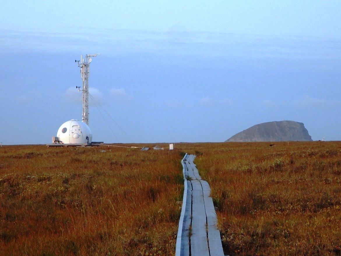 Im Sommer steigen Methan-Emissionen in Sibirien | SOLARIFY