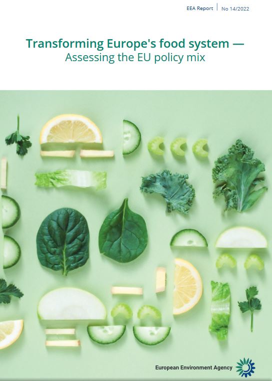 Europäische Umweltagentur mahnt transformativere EU-Politik an | SOLARIFY