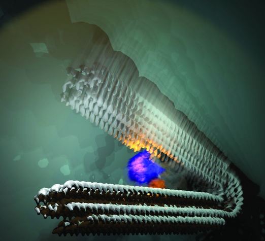 Neu: Pulsierender Nanomotor | SOLARIFY